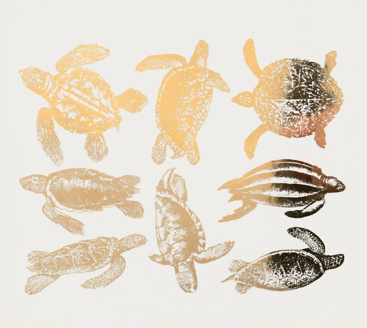 Decal Sea Turtles NTTT Gold — Cornell Studio Supply