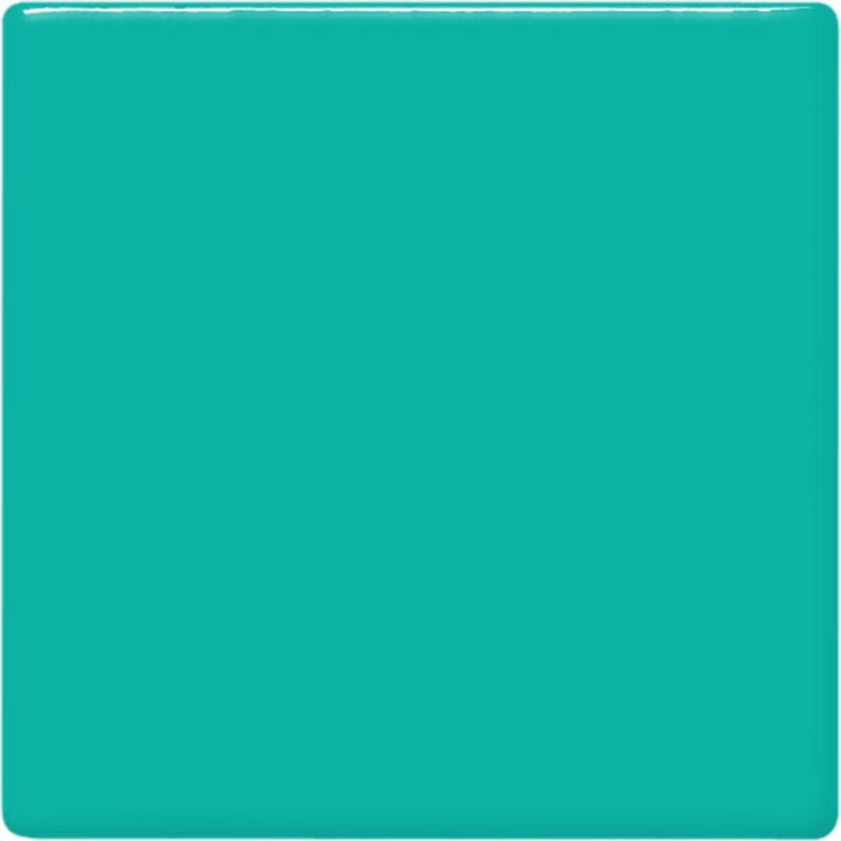 TP26 Robin's Egg Pint — Cornell Studio Supply